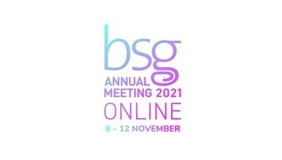 BSG Conference 2021 Sponsor - HICSS